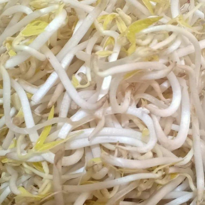 Fresh Bean Sprouts [Toge | Togue] - order price / 500 grams – Farm2Metro