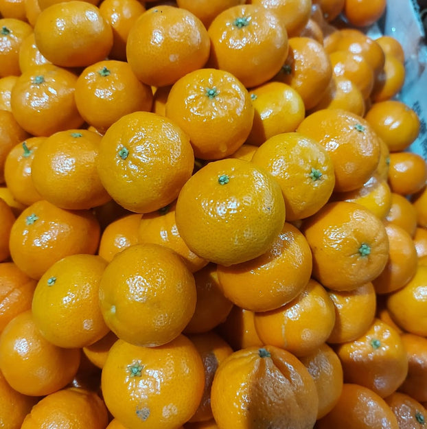 Sweet Orange Kiat Kiat | Kiatkiat - order price / kilo – Farm2Metro