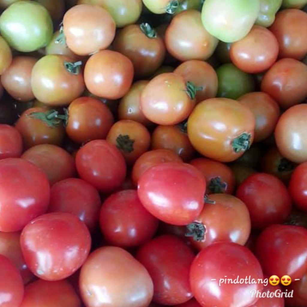 Local Organic Tomato [Kamatis] - order price / kilo – Farm2Metro