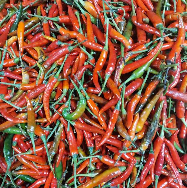 Local Organic Chili Pepper [Sili Labuyo] - order price / kilo – Farm2Metro