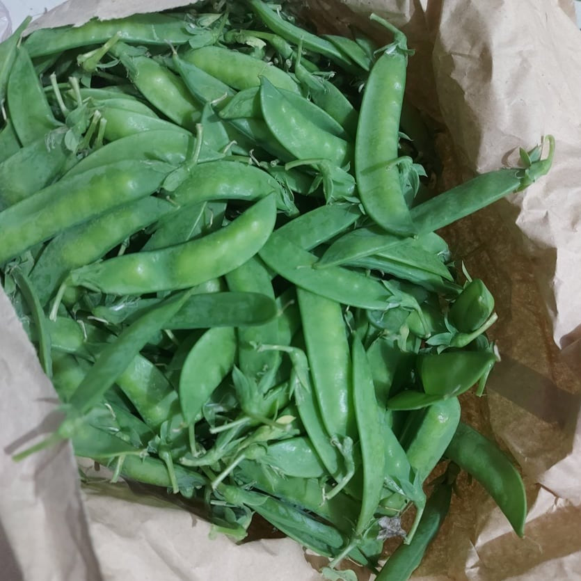 Fresh Sweet Peas (Chicharo) – Farm2Metro