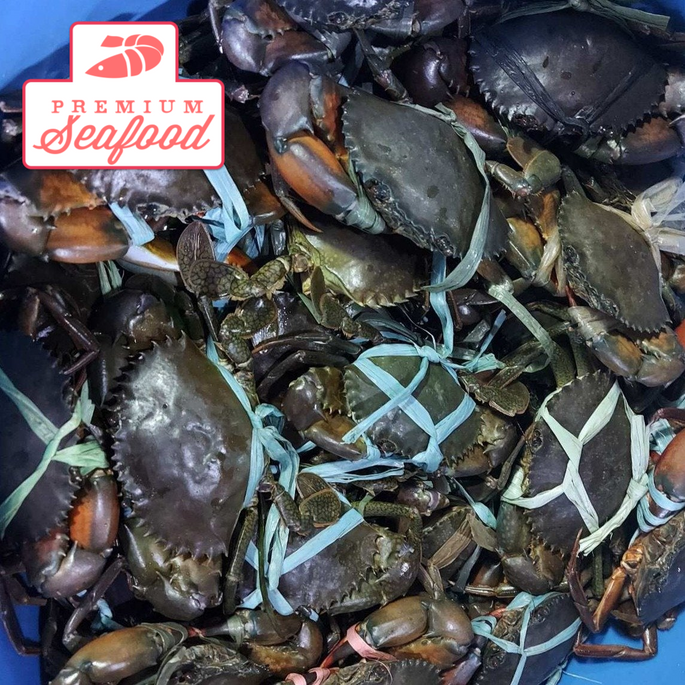 Fresh Live Mud Crab [Alimango] [4-5pcs] - order price / kilo – Farm2Metro