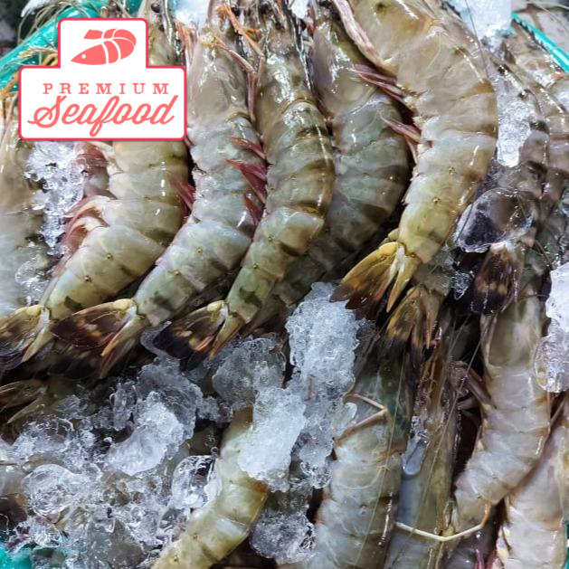 Fresh Tiger Prawns [Sugpo] - order price / kilo – Farm2Metro