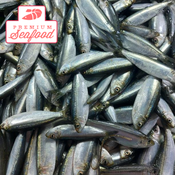 Fresh Herring [Tawilis] - order price / kilo – Farm2Metro