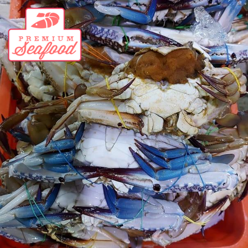 Fresh Blue Crab [Alimasag] - order price / kilo – Farm2Metro